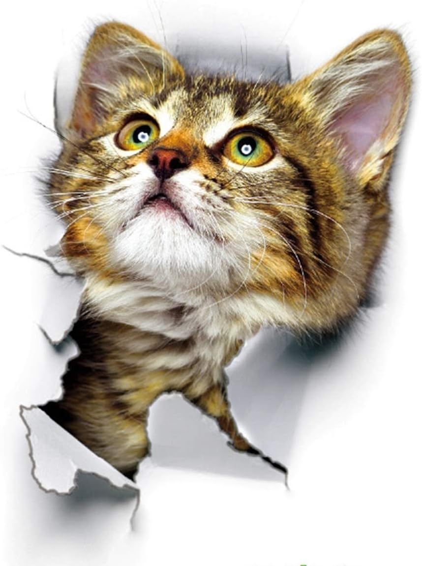 3D Hole Pop Out Cat Vivid Smashed Toilet Decal Wall sticker Bathroom K ...